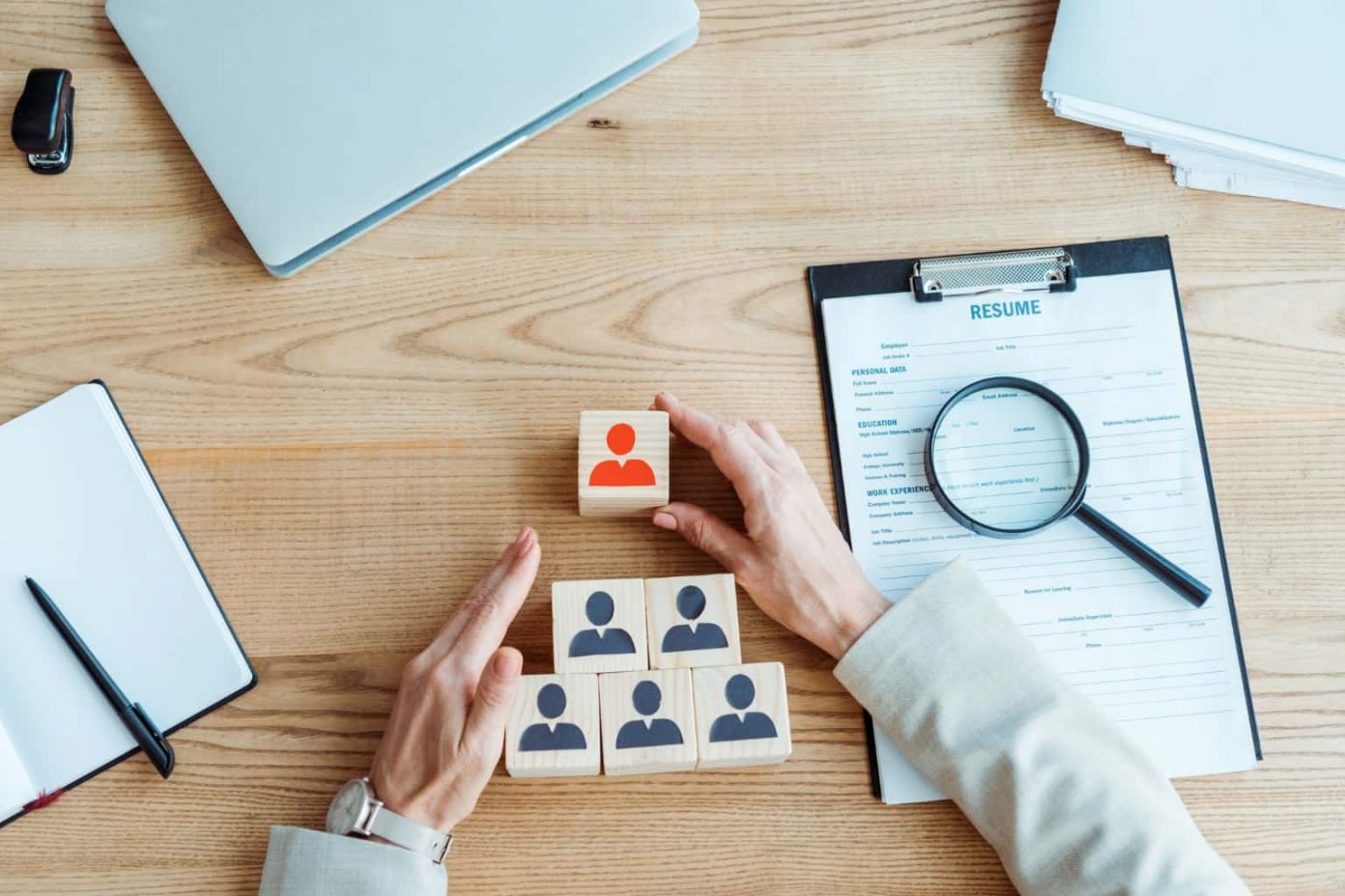 Resume Format in India 2021 - Overview » Career Flyes