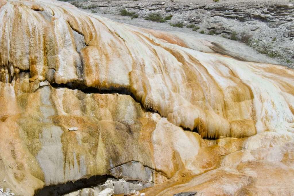 How to Watch Yellowstone in the U.K. » Career Flyes