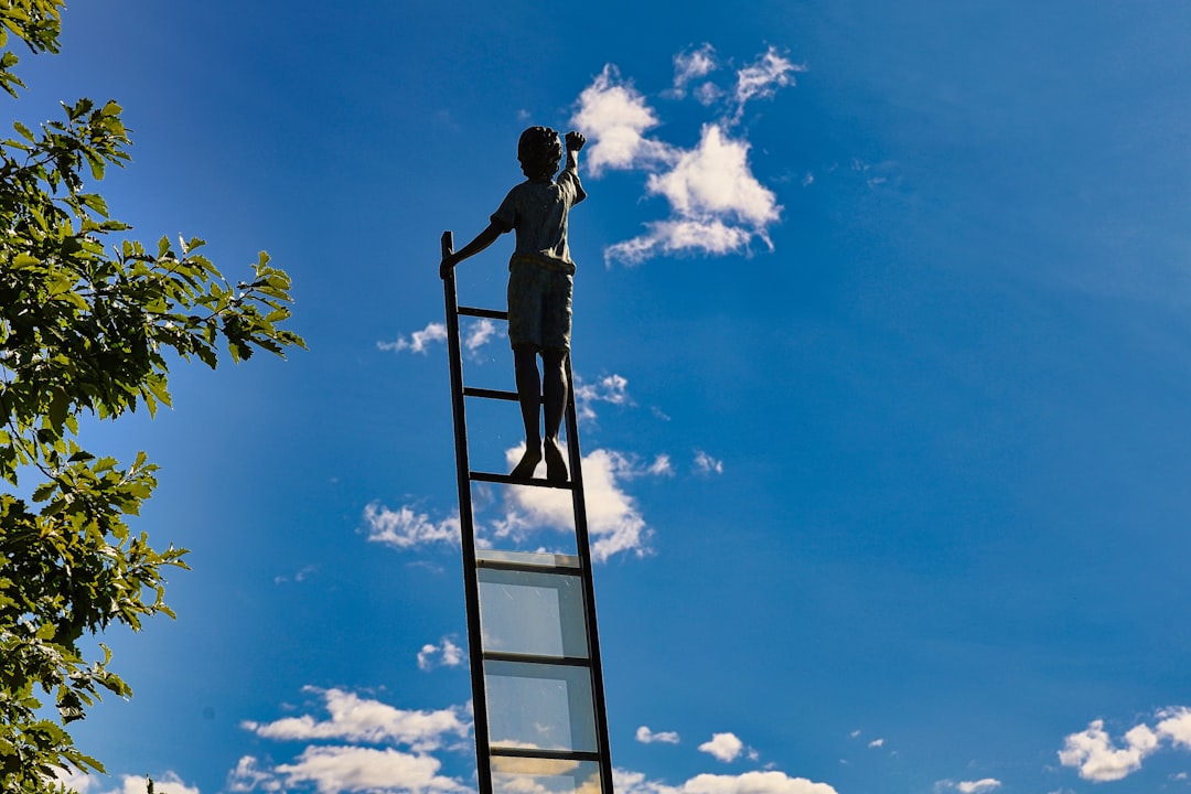 Chief of Staff Career Trajectory » Career Flyes