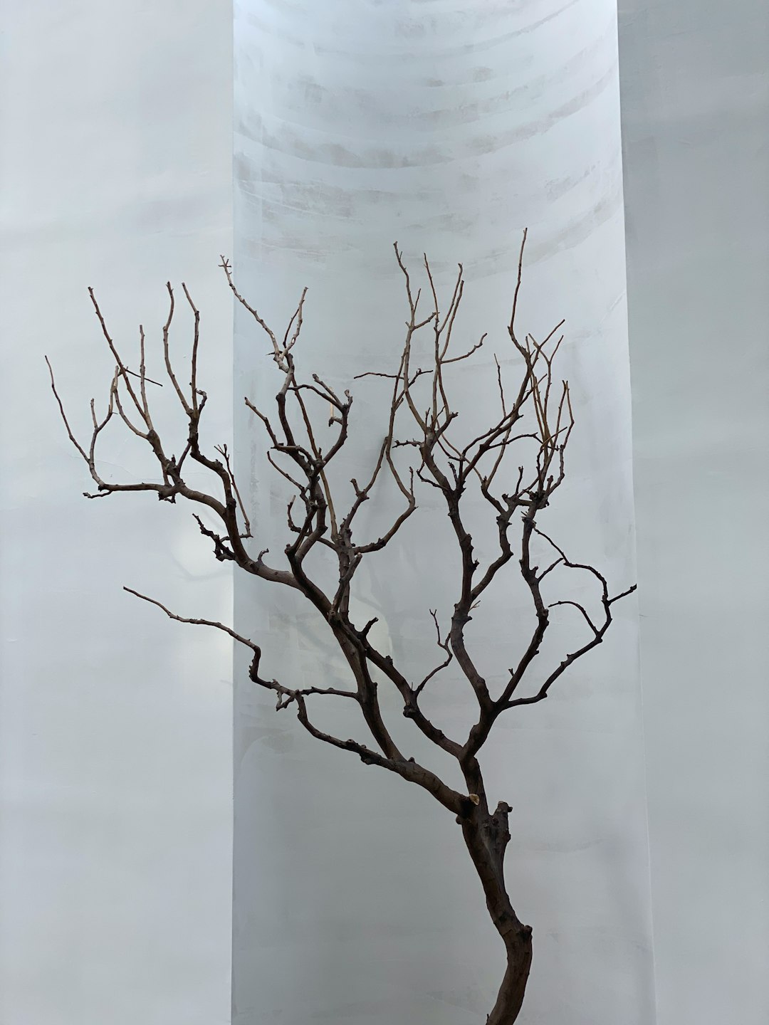 How to Lock an Item in the Model Tree in FreeCAD » Career Flyes